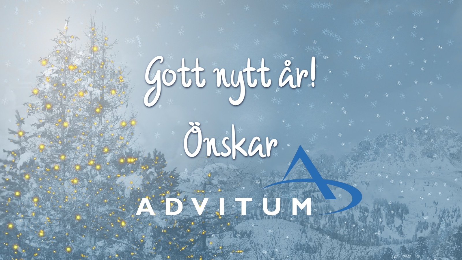 Årskrönika 2024! - Advitum