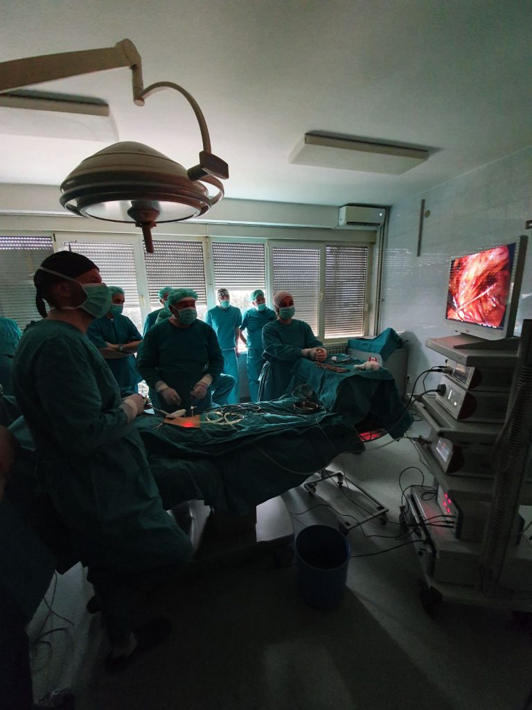 Workshop “Laparoskopske operacije ingvinalne hernije TEP metodom” – AESBH