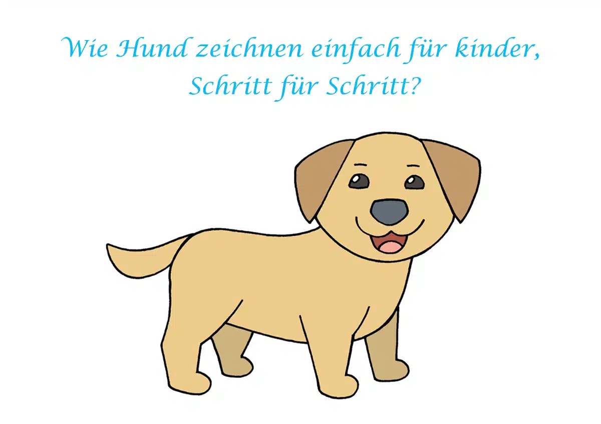 Wie Hund zeichnen einfach für kinder, Schritt für Schritt?