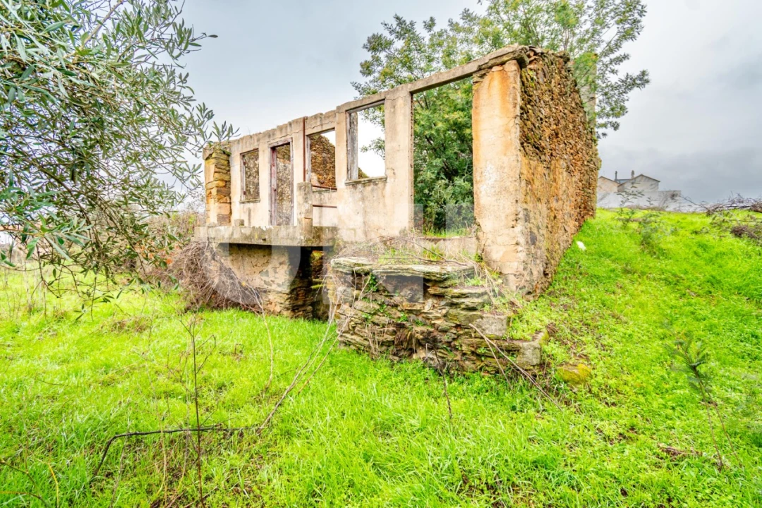 Terrenos para Venda - Barco e Coutada, Covilhã - casacerta.pt