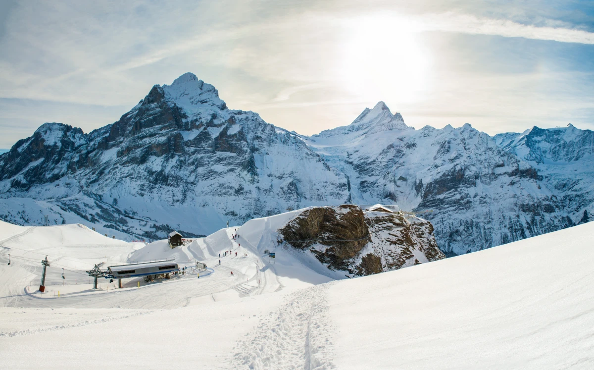 Grindelwald First - everything you need to know about Top of Adventure 2025
