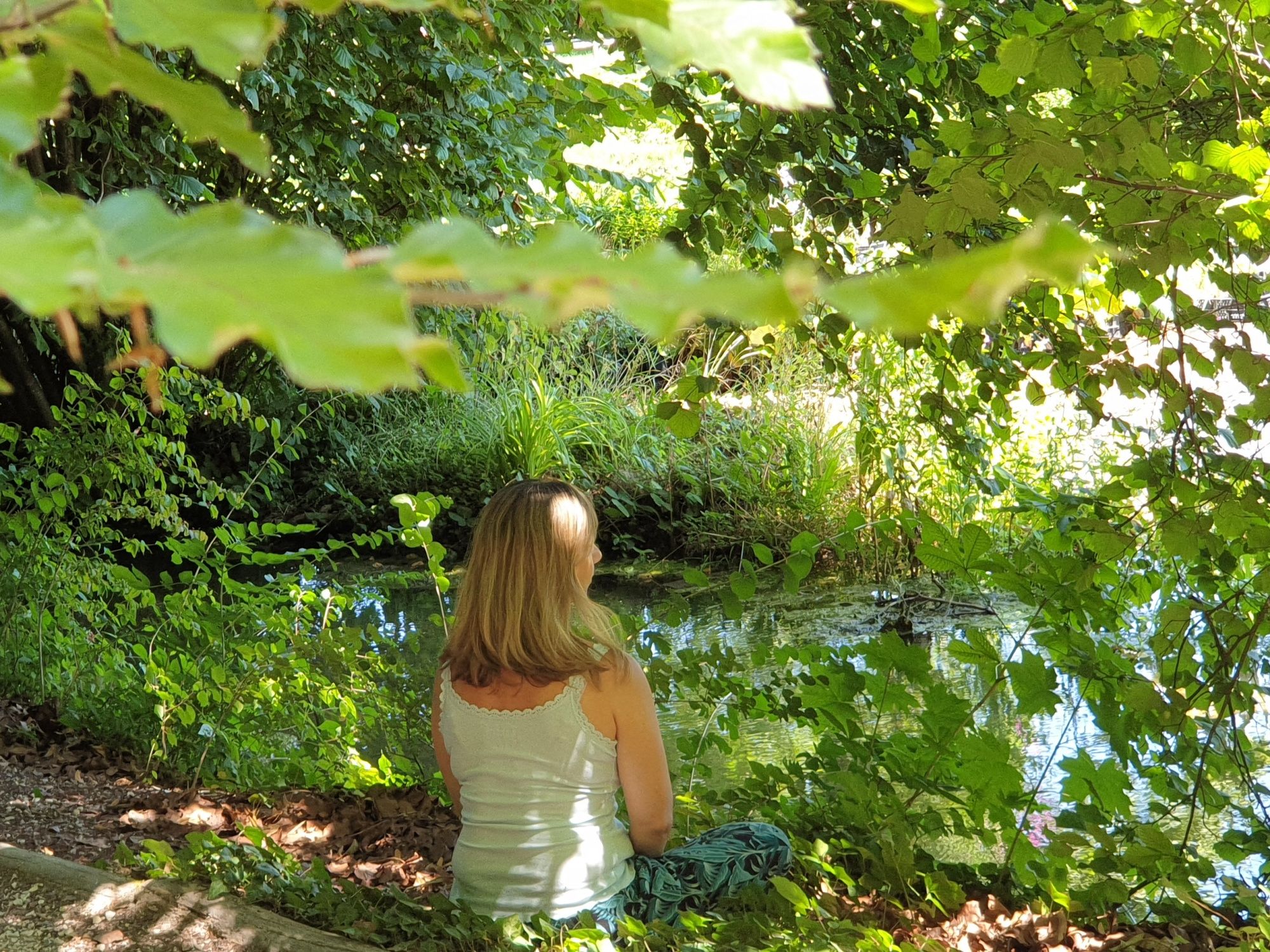 Forest Wellness in Basel