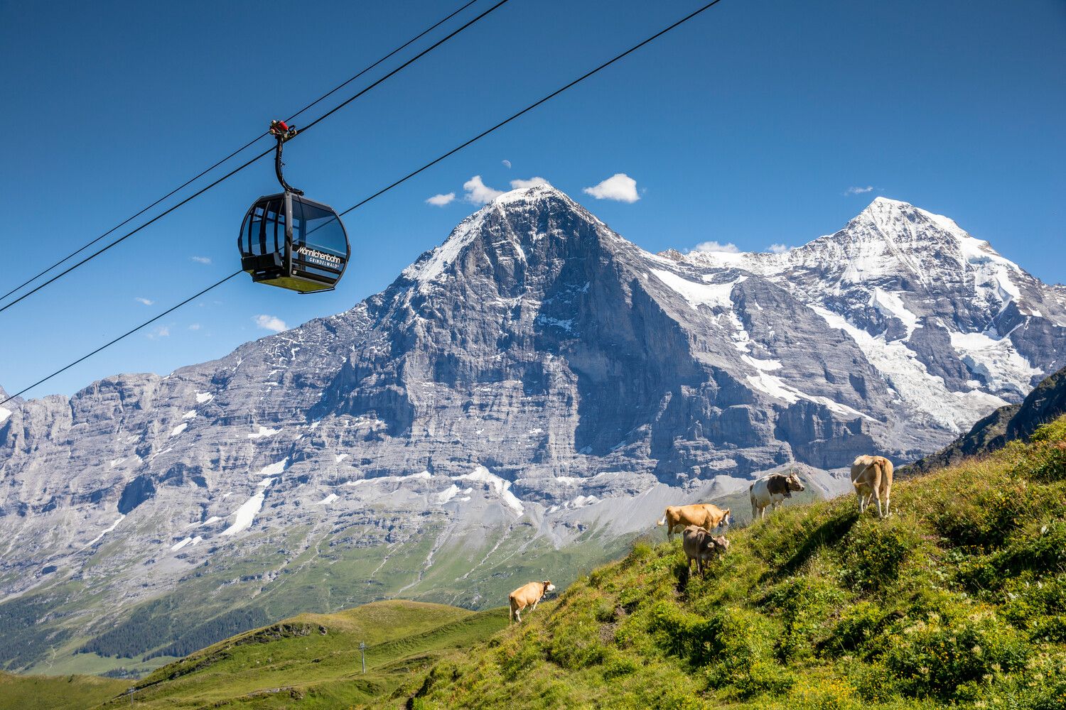 Hiking ticket Grindelwald - Holenstein with the cable car