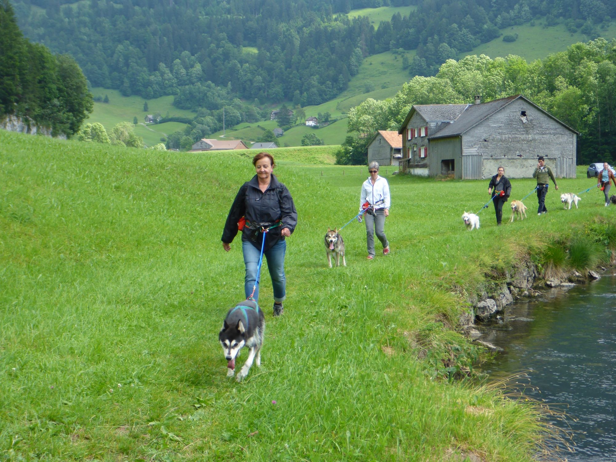 3 hours husky trekking "valley circuit"