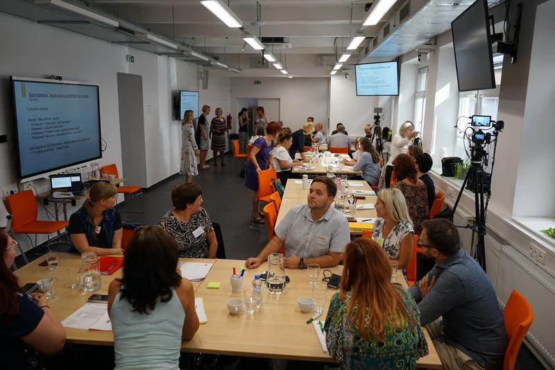 SYPO - účast na pilotáži | Profesní institut Jahodovka