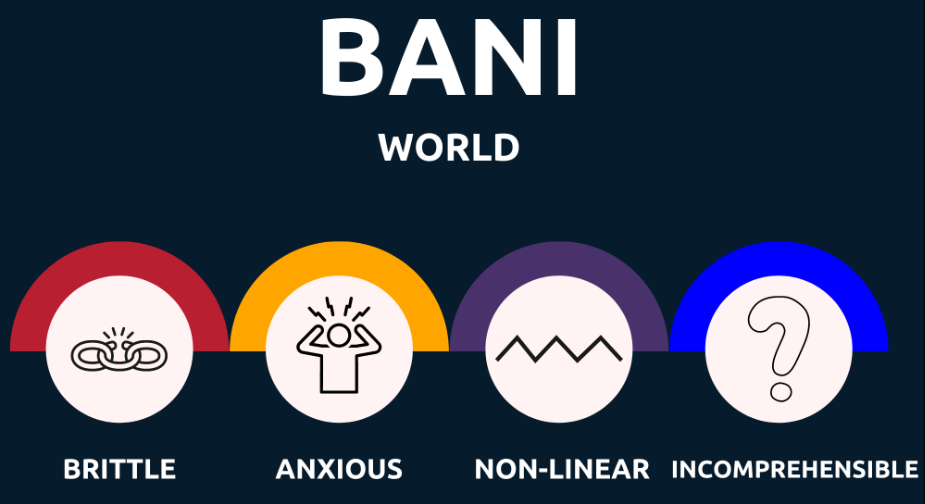 🚪 Discover the BANI world! Success in the face of uncertainty