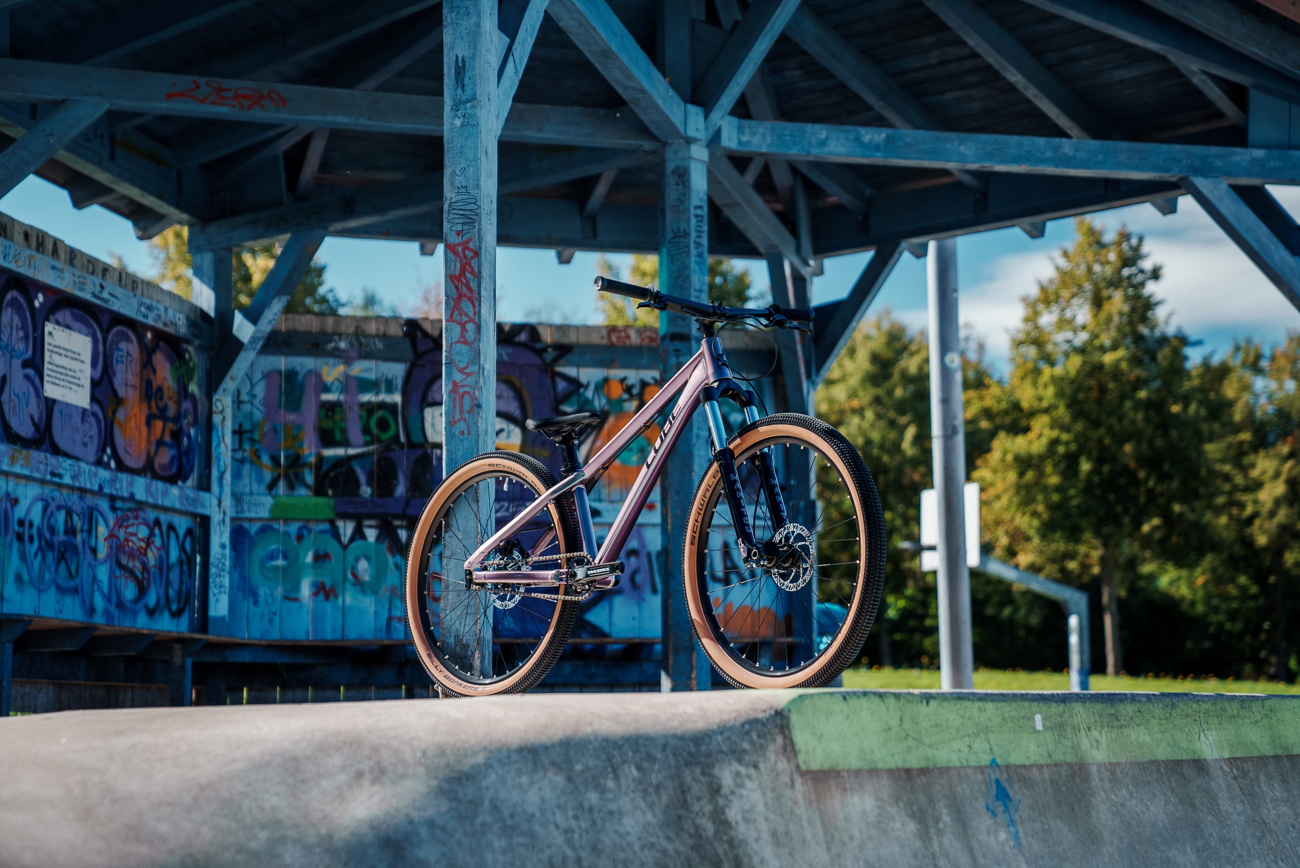 CUBE Flying Circus | MTB Hardtails | Multicycle - Dein CUBE Spezialist