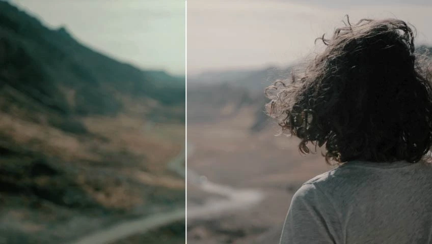 Cinematic LUT Sony Log 08