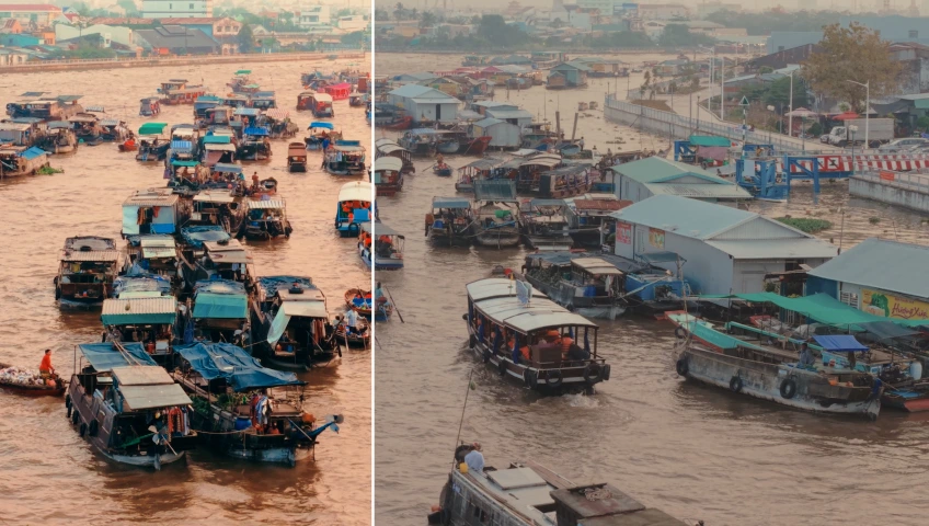 Colorify Generic Log LC 006