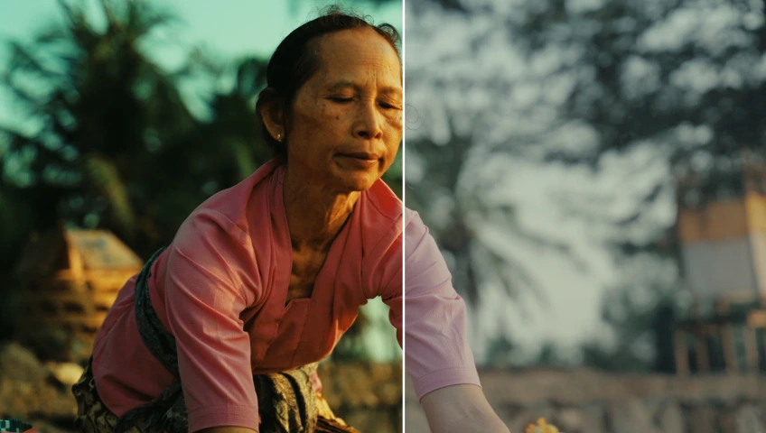 Colorify Generic Log LC 008