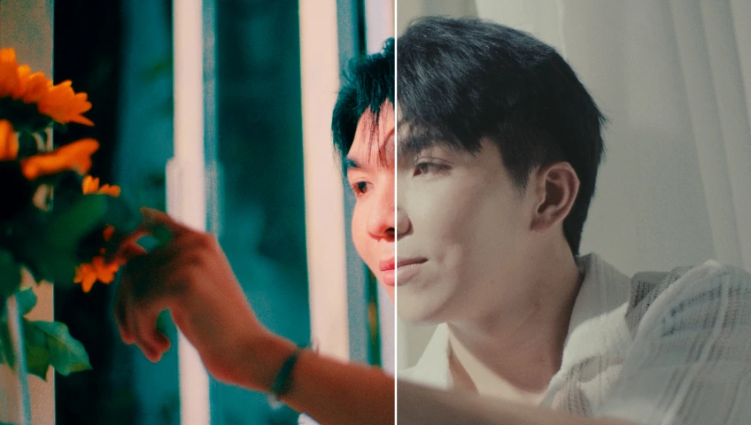 Colorify Generic Log LC 009