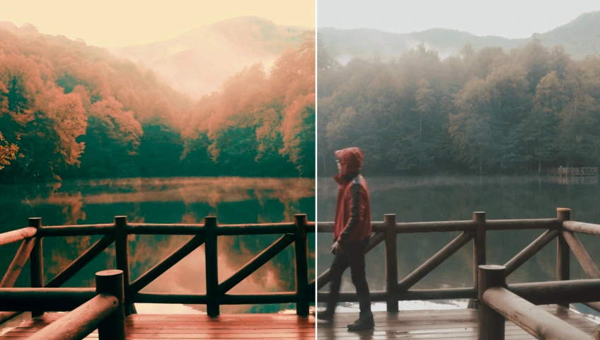 Colorify Generic Log LC 016