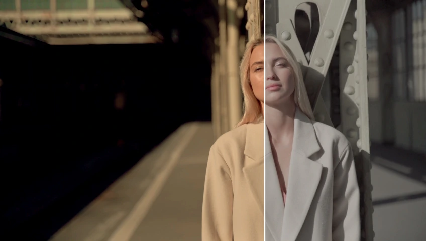 Colorify Generic Log LC 022