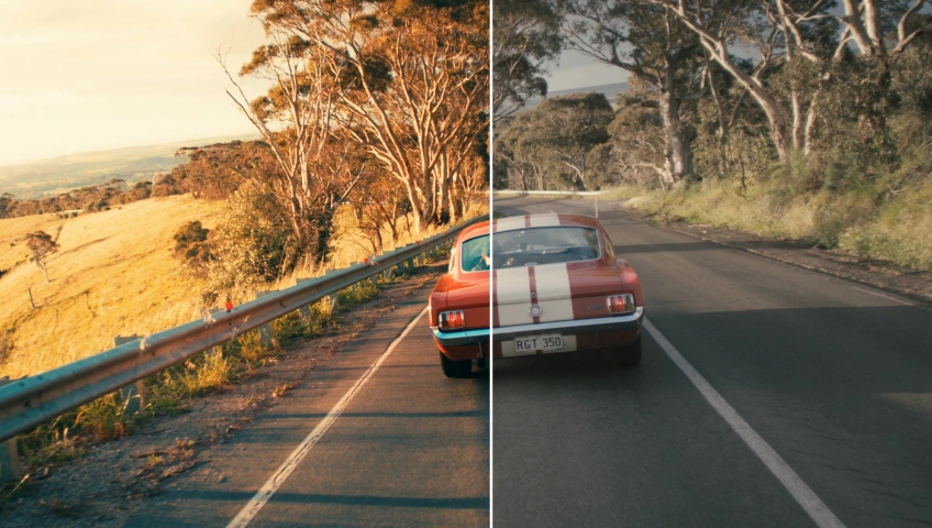 Colorify Generic Log LC 071