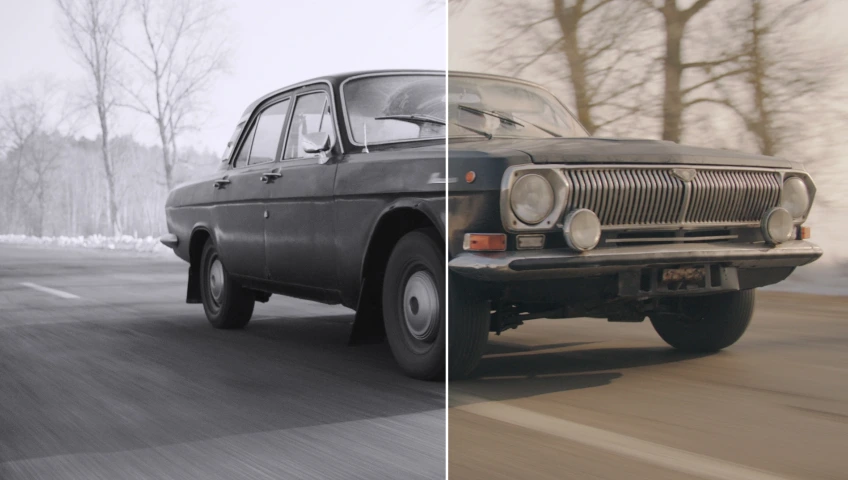 Colorify Generic Log LC 073