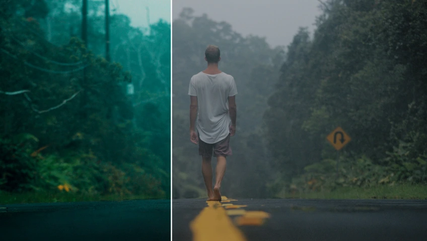 Colorify Generic Log LC 074