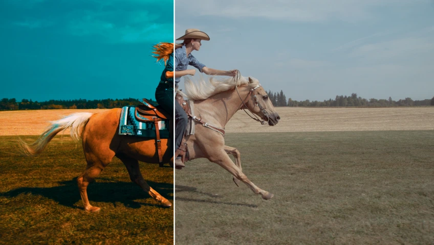 Colorify Generic Log LC 075