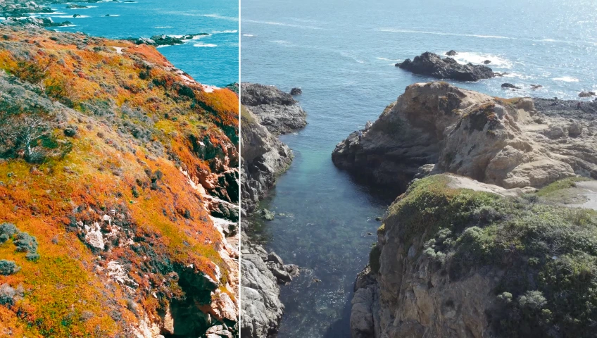 Colorify Generic Log LC 081