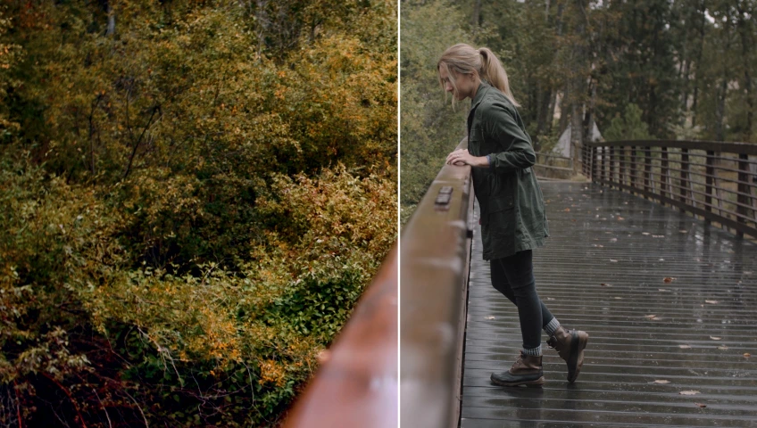 Colorify Generic Log LC 082