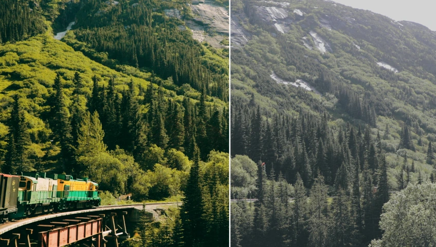 Colorify Generic Log LC 091