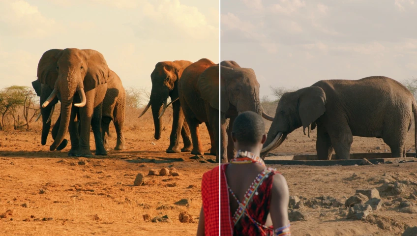 Colorify Generic Log LC 093