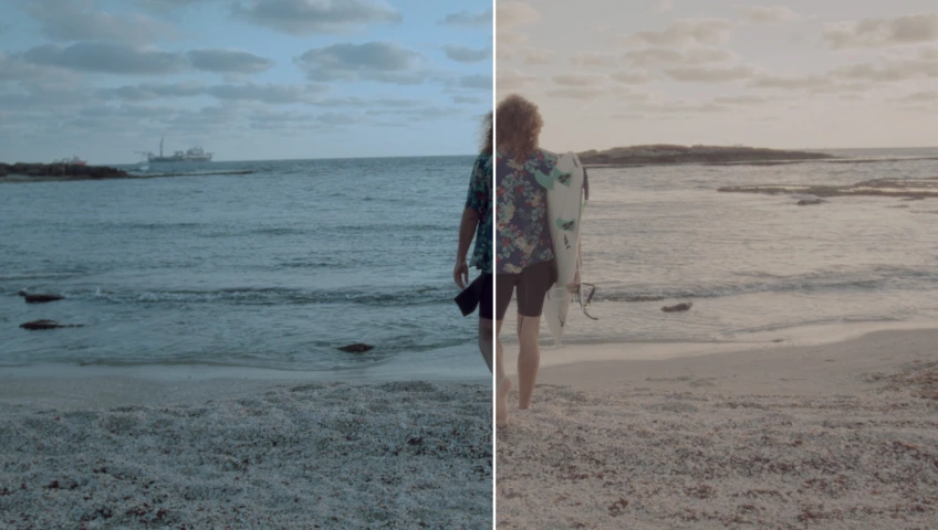 Colorify Generic Log LC 095