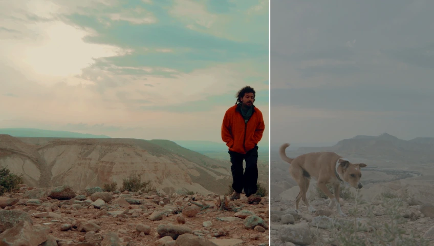 Colorify Generic Log LC 096