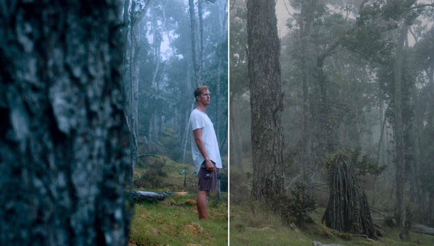 Colorify Generic Log LC 097