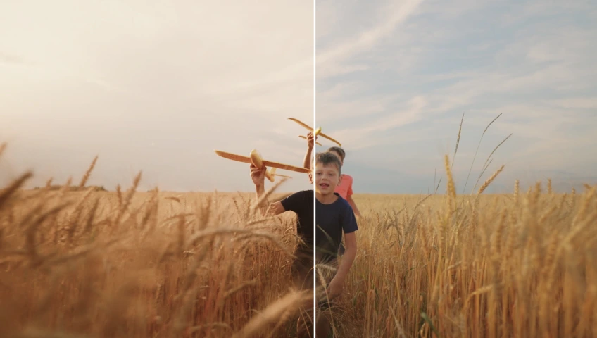 Colorify Generic Log LC 111