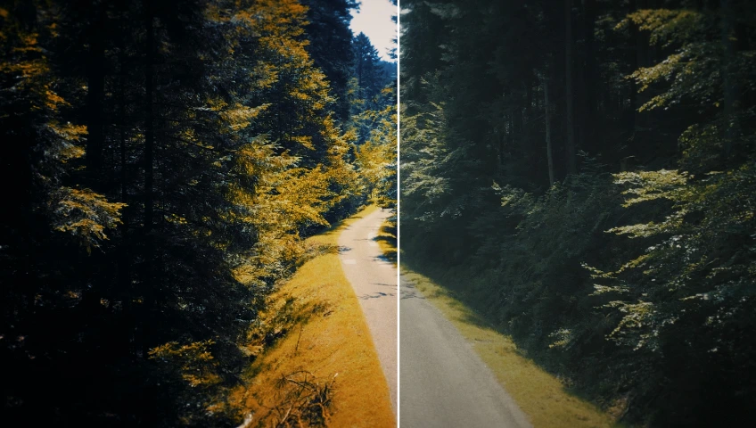 Colorify Generic Log LC 115