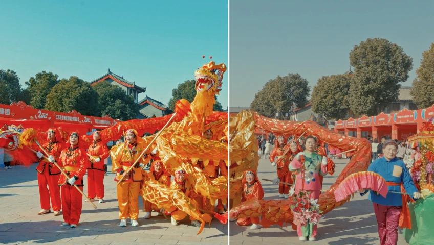 Colorify Generic Log LC 116