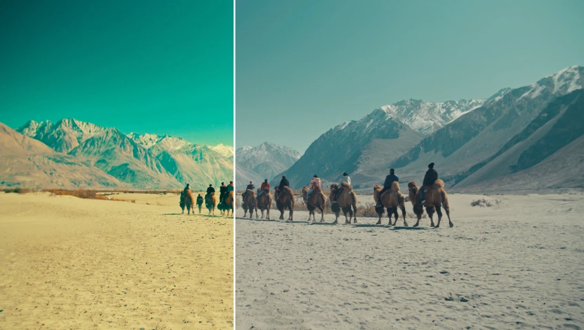 Colorify Generic Log LC 119