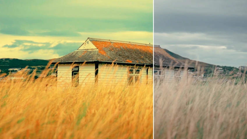 Colorify Generic Log LC 120