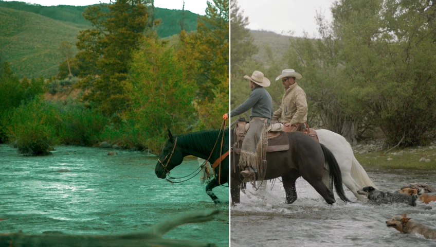 Colorify Generic Log LC 121