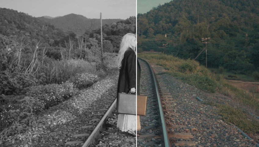 Colorify Generic Log LC 134