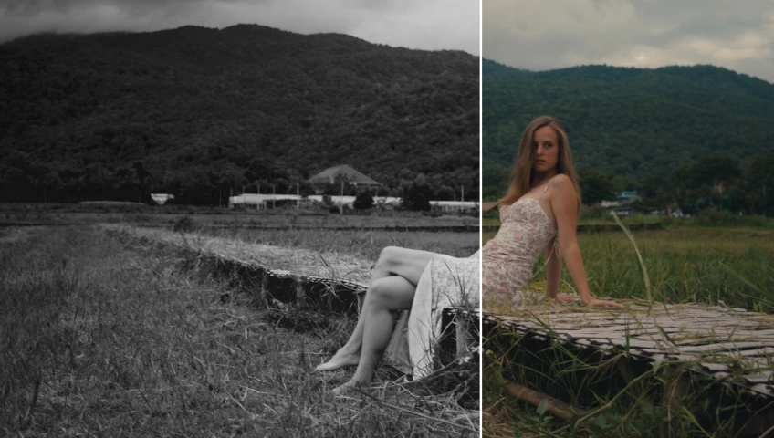 Colorify Generic Log LC 138