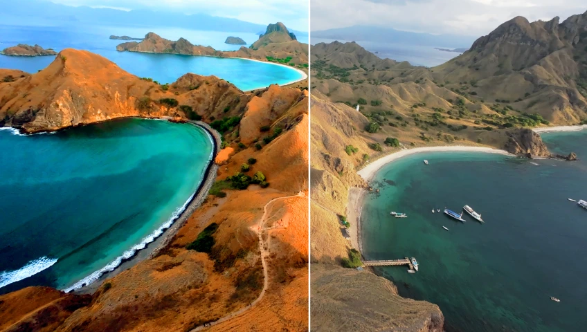 Colorify Generic Log LC 141