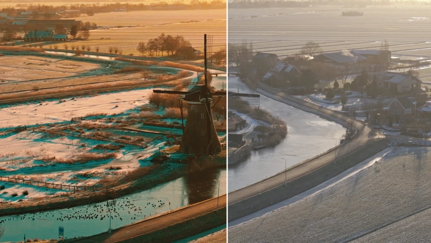 Colorify Generic Log LC 147