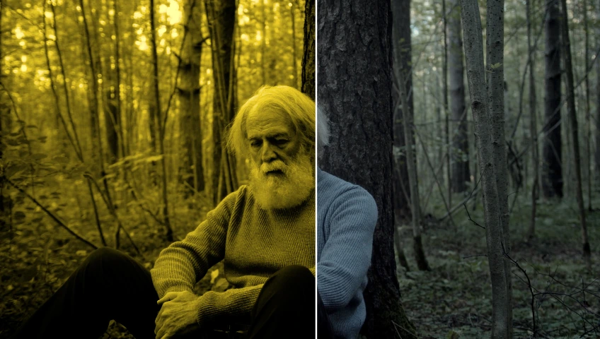 Colorify Generic Log LC 167