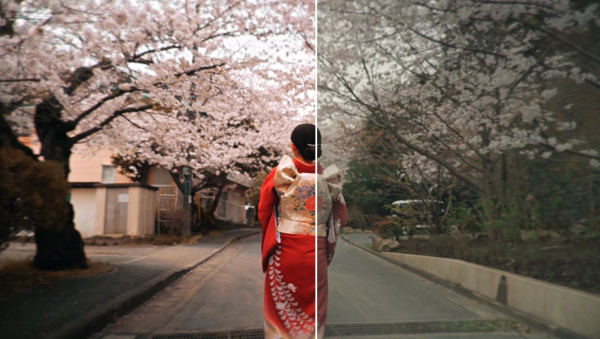 Colorify Generic Log LC 175