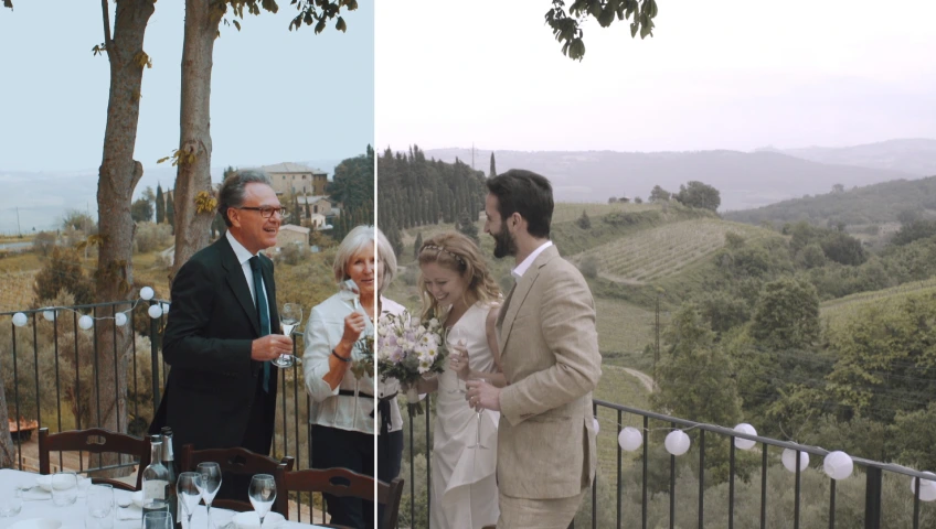 Colorify Wedding Lut 36