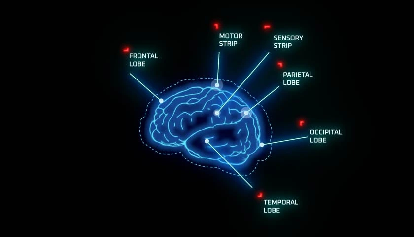 Cyberpunk HUD Medical Elements 06