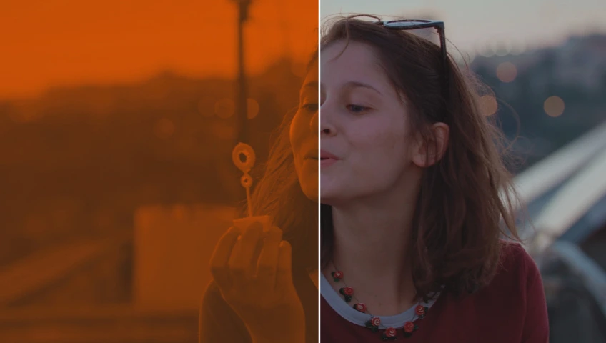 Duotone LUT Orange 03