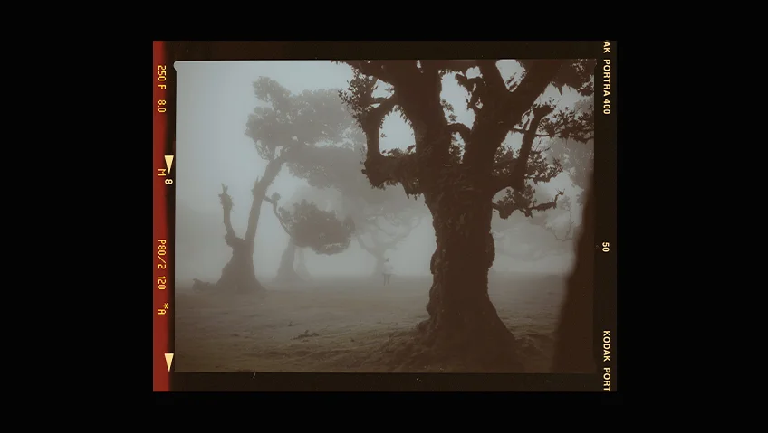 Kodak and Fuji Film Frames V2 02