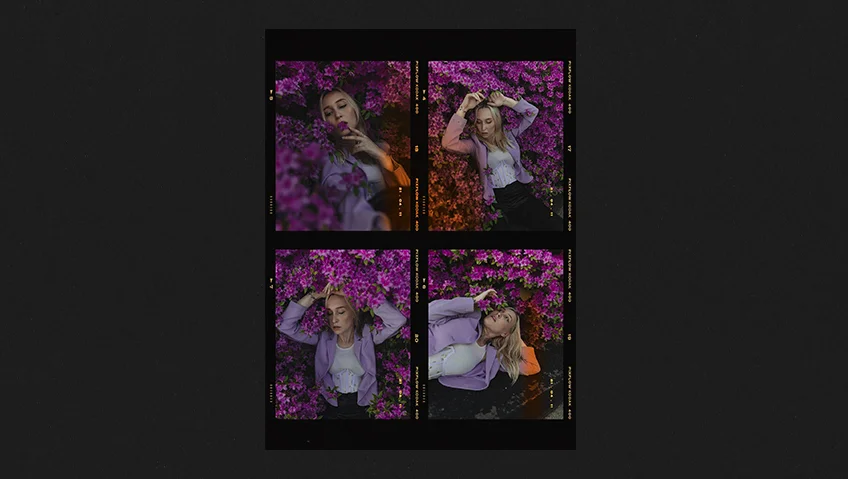 Kodak and Fuji Film Frames V2 42