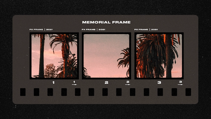 Kodak and Fuji Film Frames 47