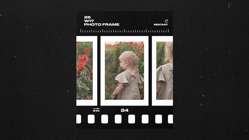 Kodak and Fuji Film Frames 48