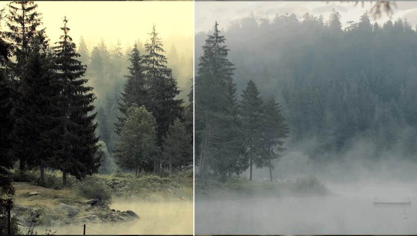 Music Video LUT Sony Log 12