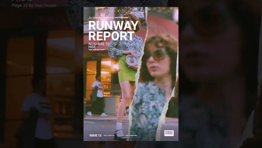 Torn Paper Magazine and Posters Ae 15