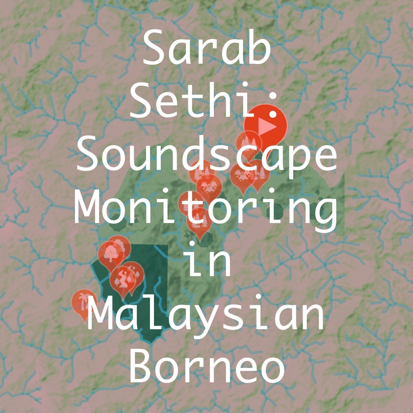 Sarab Sethi: Soundscape Monitoring in Malaysian Borneo — Smart Forests ...